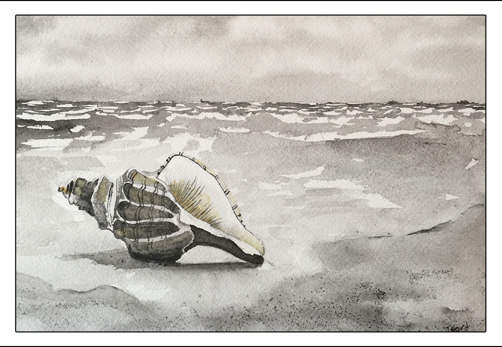 Cattail.Nu Watercolor Course